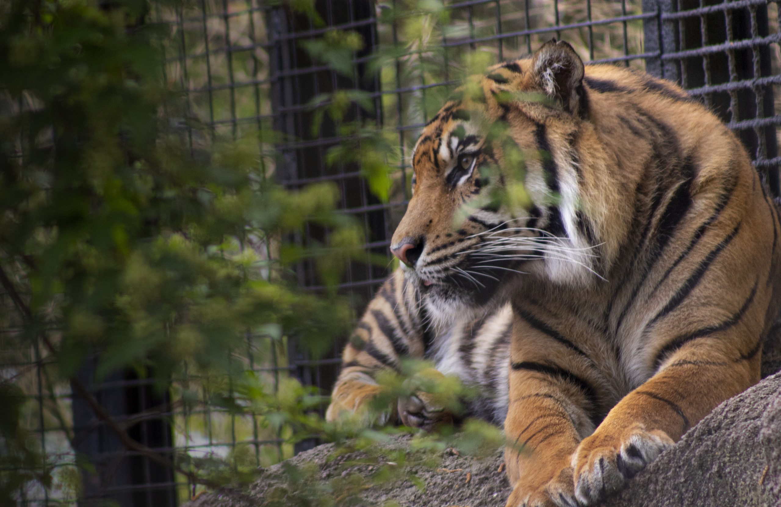 Visit the Topeka Zoo - Topeka Zoo & Conservation Center