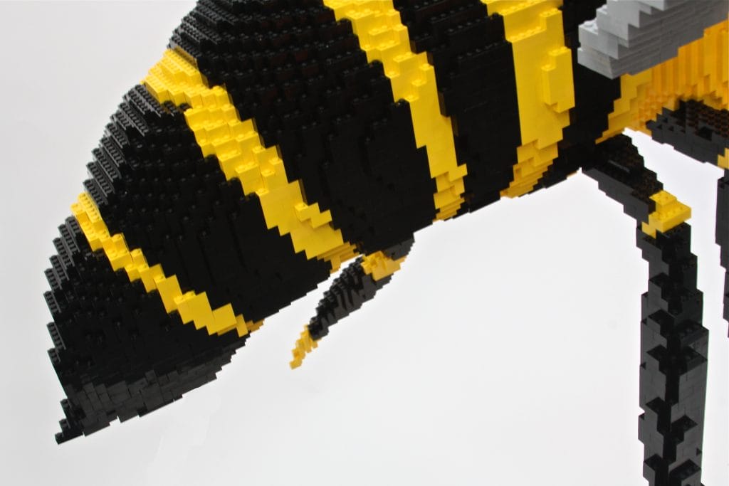 Super Senses - Topeka Zoo & Conservation Center