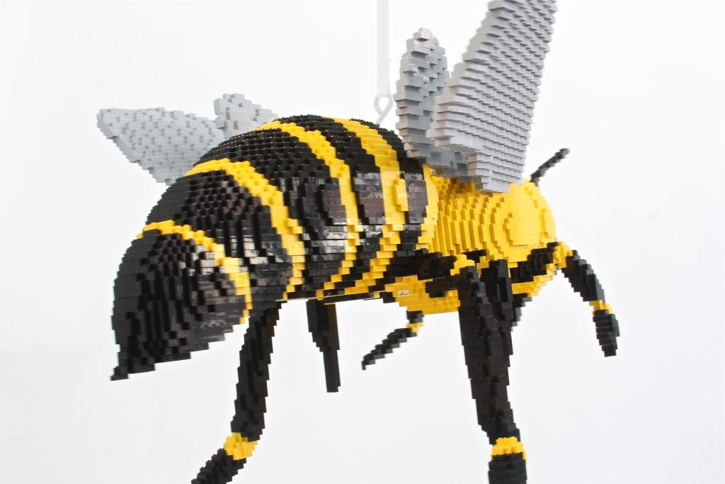 Super Senses - Topeka Zoo & Conservation Center