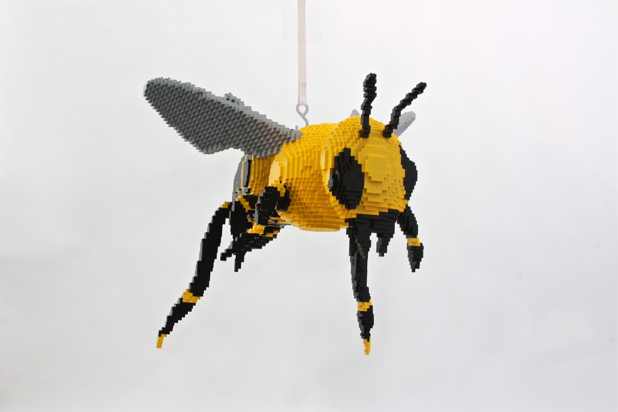 Super Senses - Topeka Zoo & Conservation Center