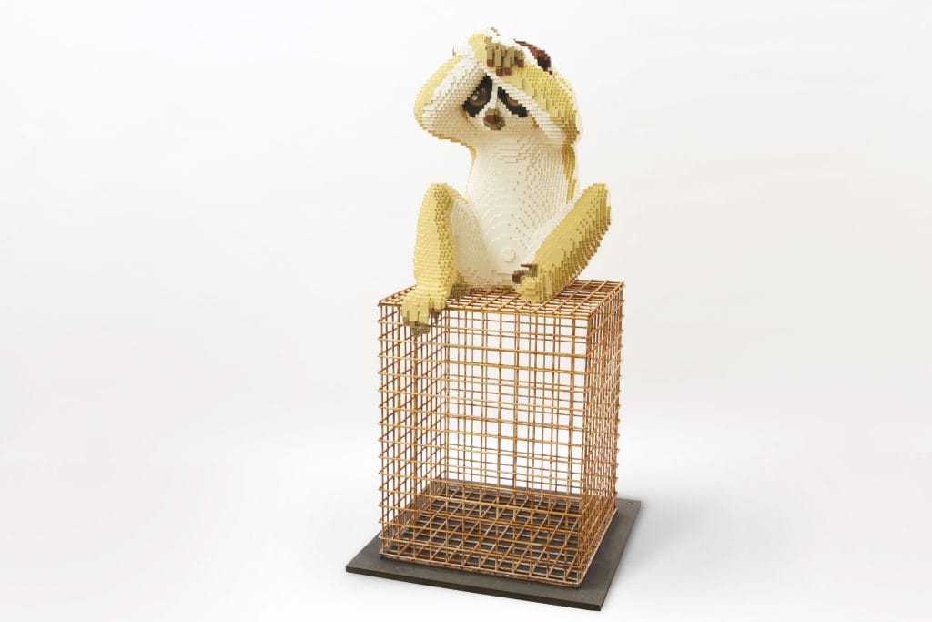 Super Senses - Topeka Zoo & Conservation Center