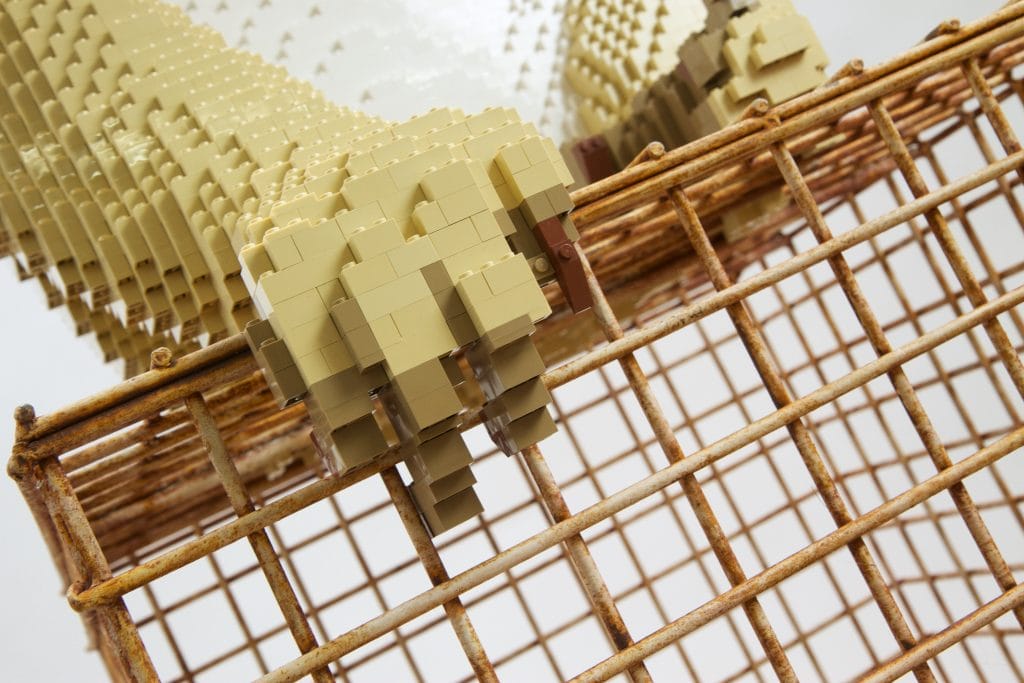 Super Senses - Topeka Zoo & Conservation Center