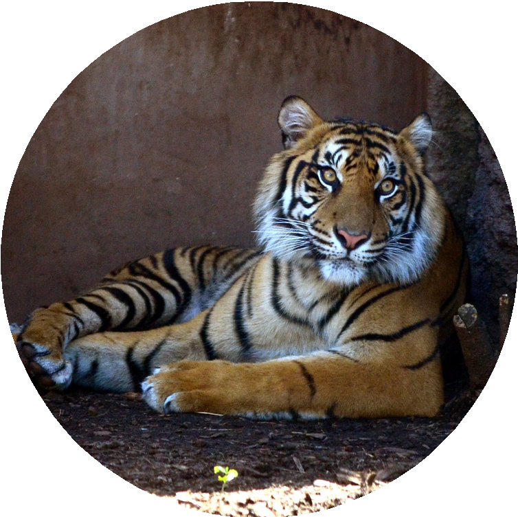 Pricing - Topeka Zoo & Conservation Center