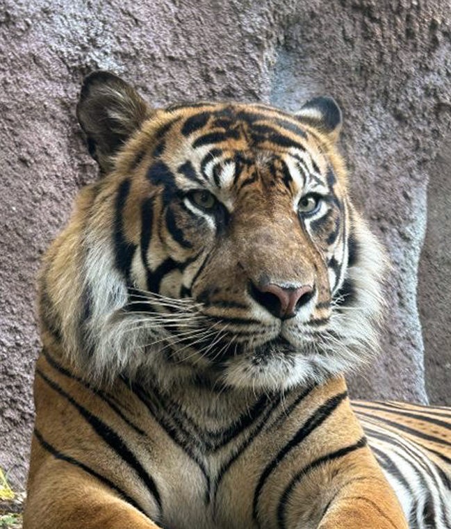 Topeka Zoo & Conservation Center | Your Kansas Zoo