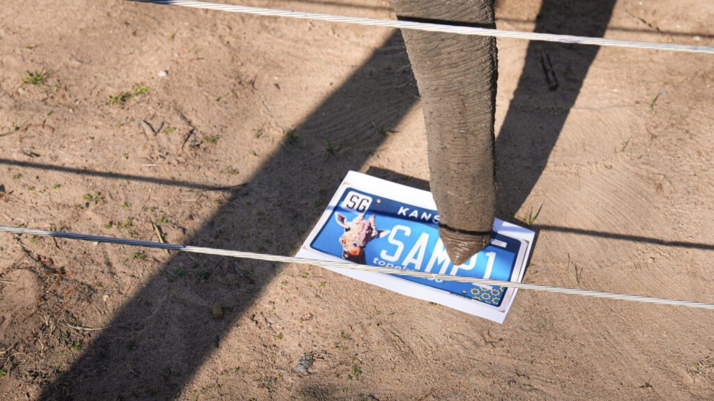 Topeka Zoo License Plate - Topeka Zoo & Conservation Center