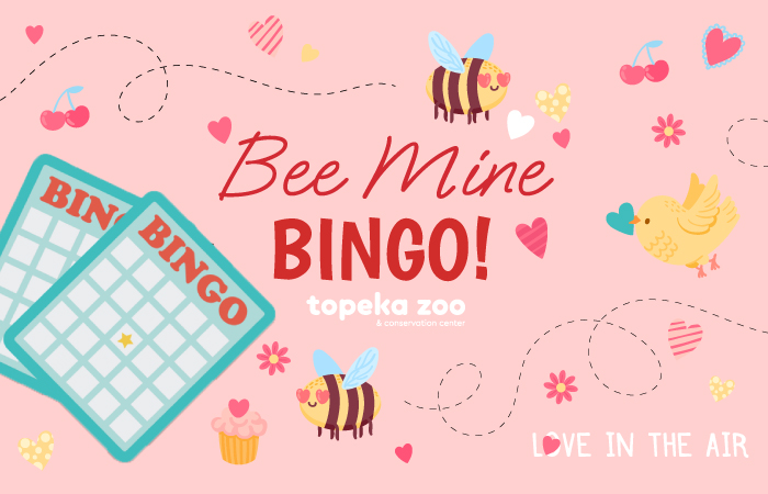 Bee Mine Bingo - Topeka Zoo & Conservation Center